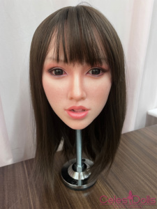 New Oral Structures, TAYU, Siliko Doll, & More News - CelesDolls